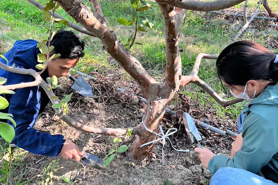 Forestry Department Carbon Sequestration Method Aims at Net-Zero Goals ...
